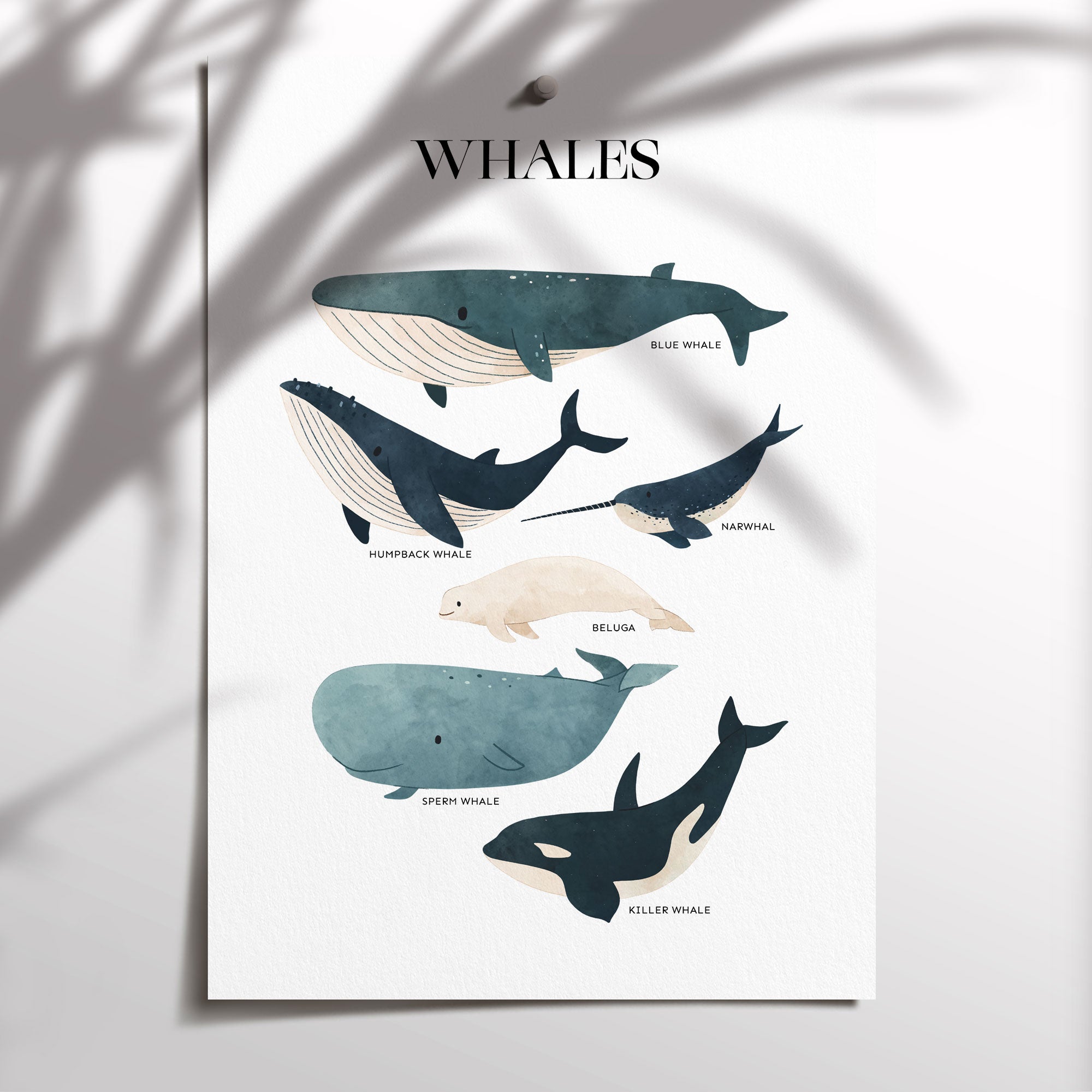 Whale Chart Nursery Print | Ocean Nursery Wall Art | The Kids Print ...